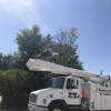 Tree Trimming & Removal: Casper, WY: Capshaw Tree Service